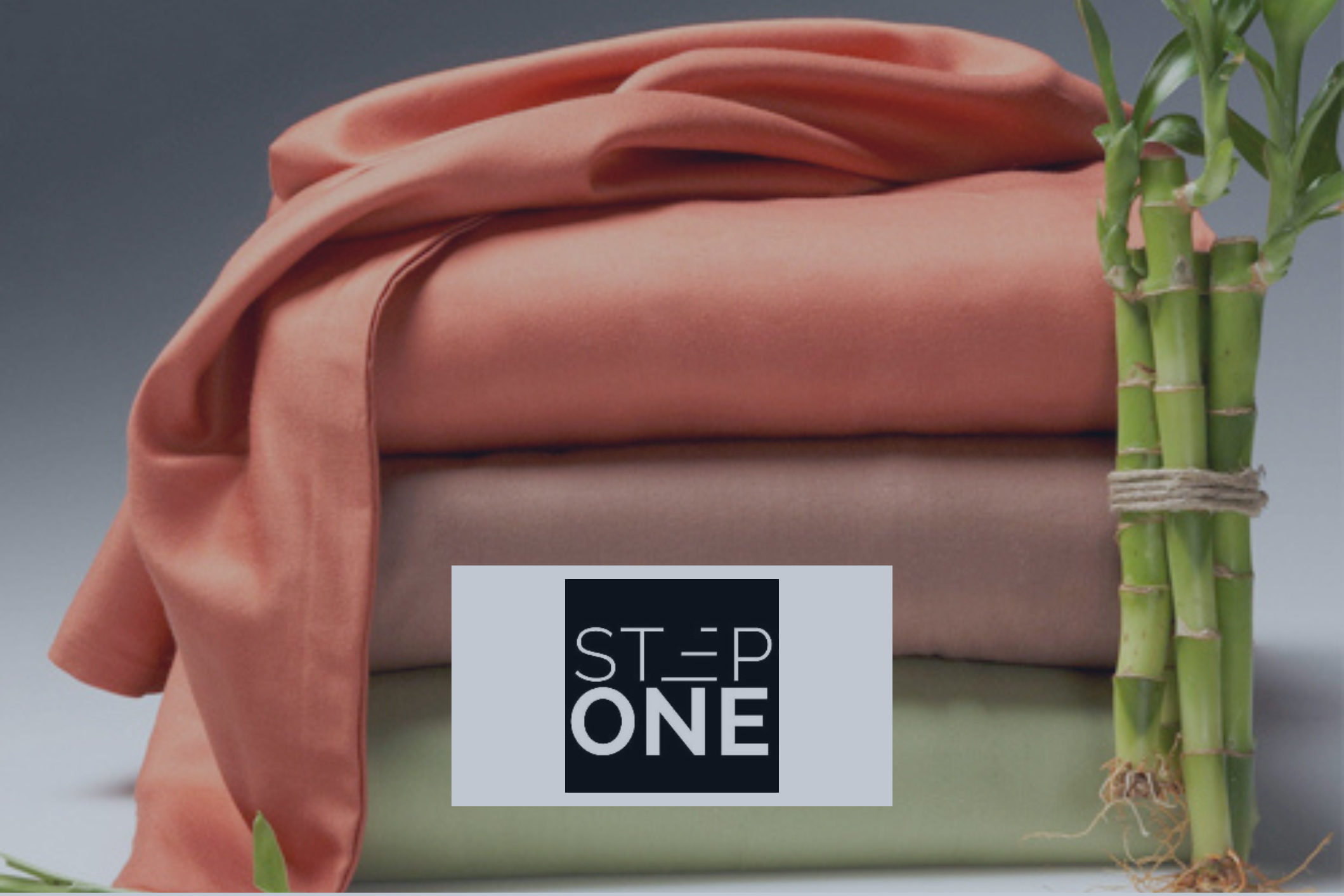 Step Up Step One - TAMIM Asset Management