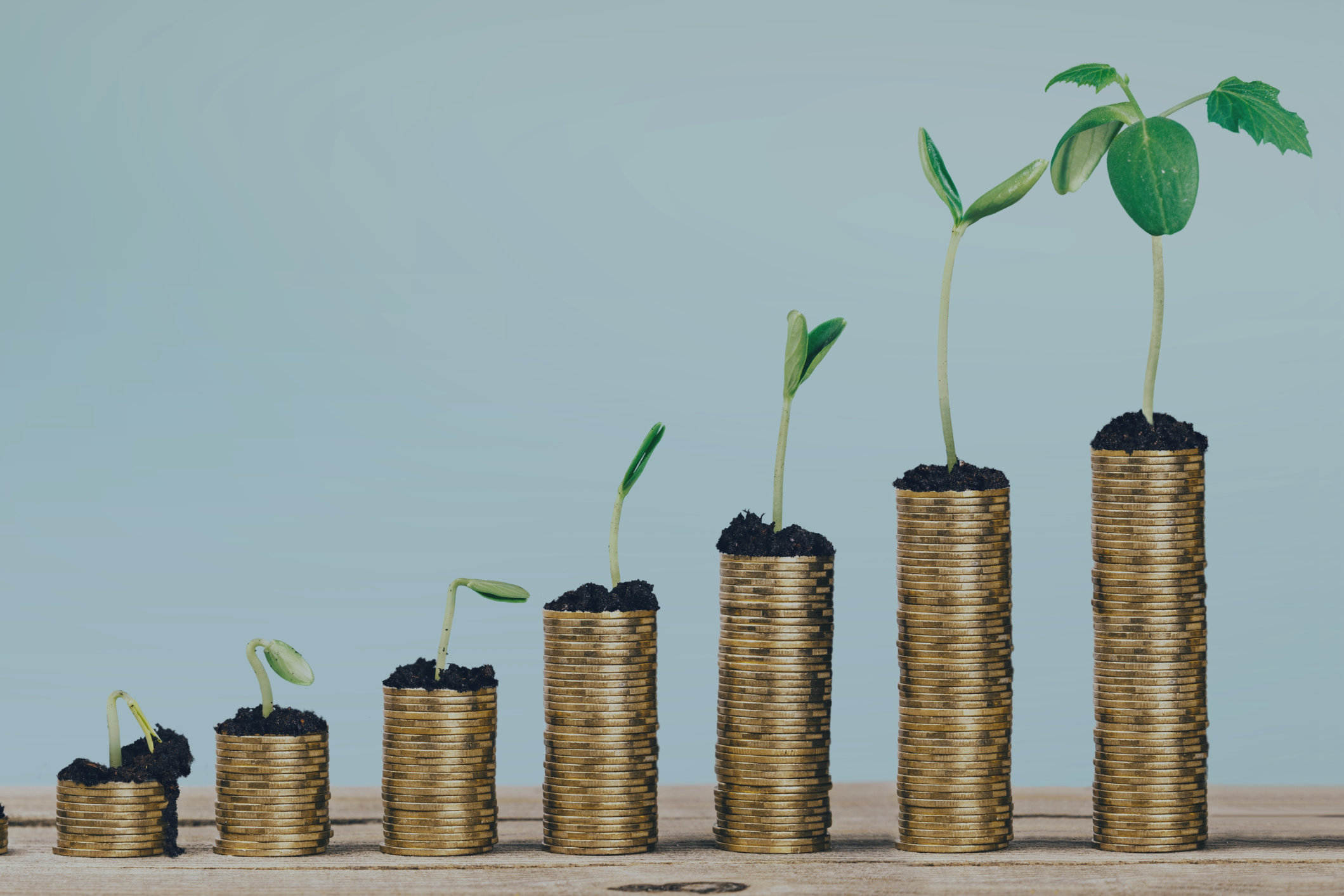 Building Wealth with Investment Fundamentals: Key Lessons for Every ...